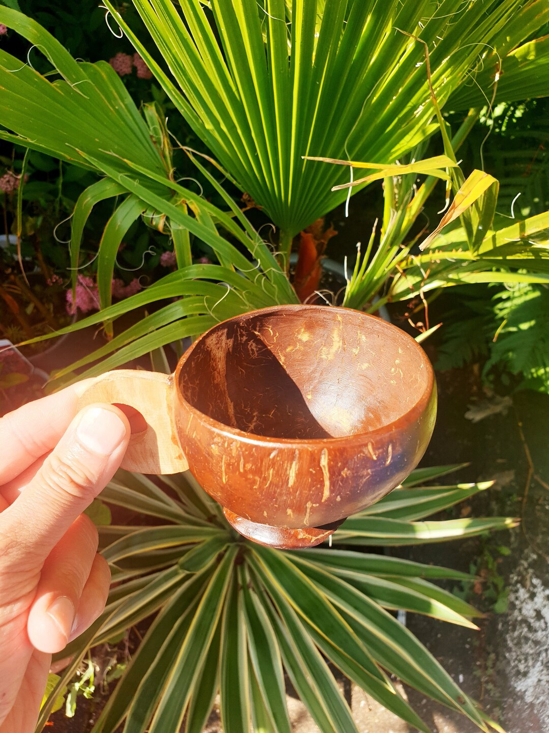 Set of 3 Rustic Natural Coconut Shell Drinks Cup L Beverages Tea Coffee ...