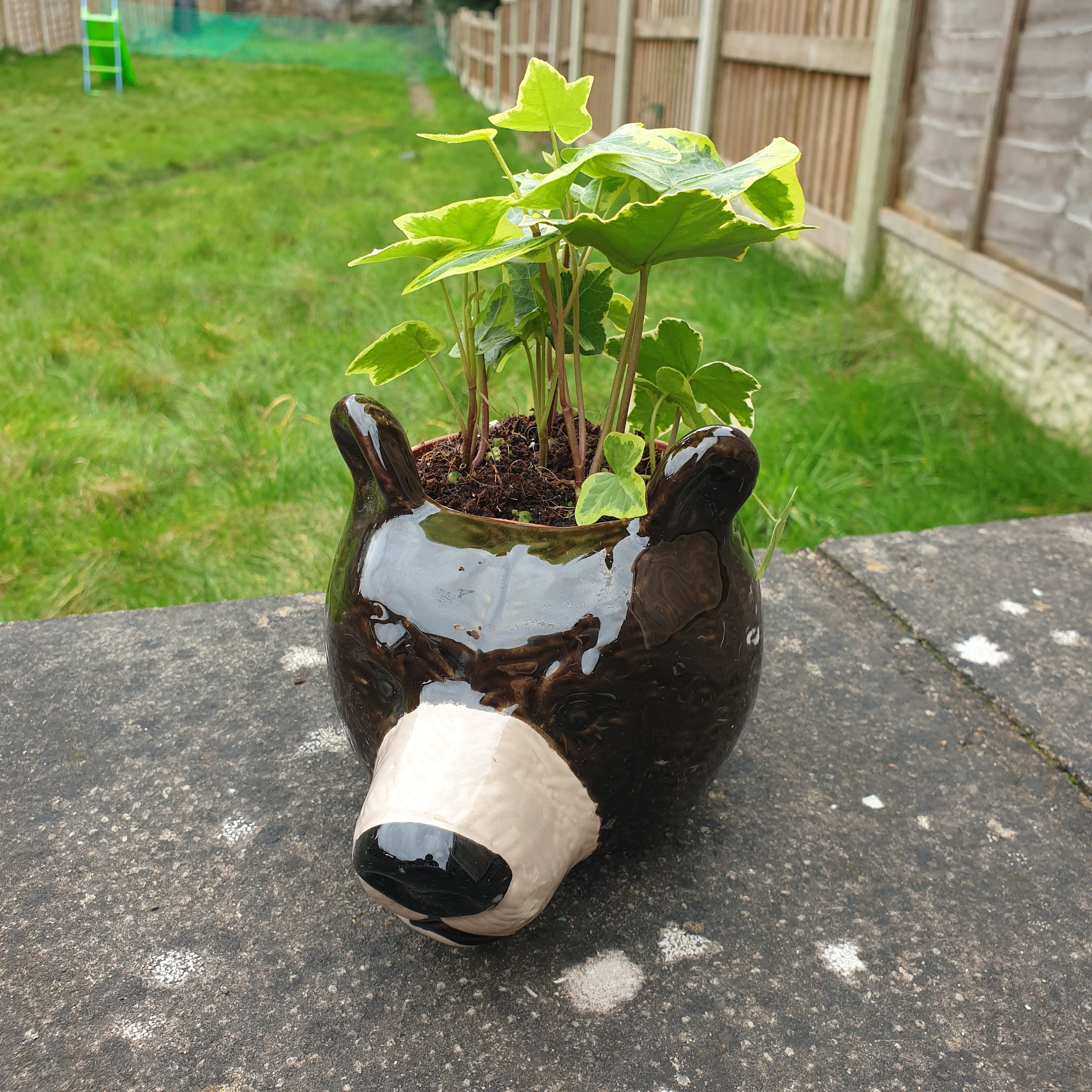 Grizzly Bear Ceramic Planter Pot With Handle | Quirky Animal Planter L ...