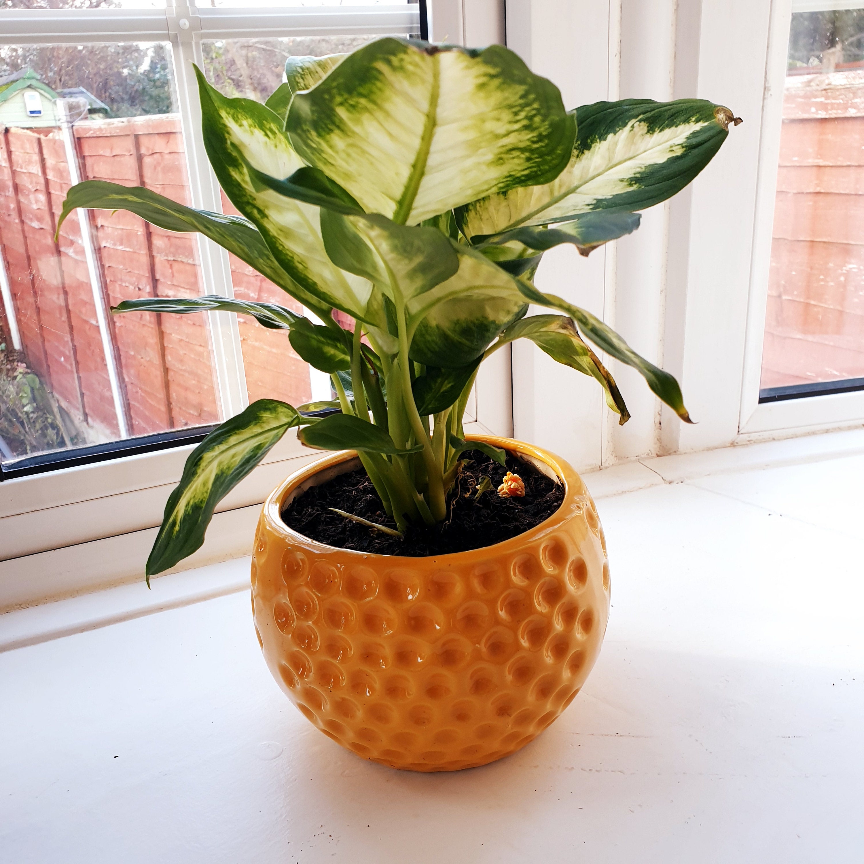 Art Deco Golf Ball Ceramic Planter Pot | Hammered Dotted Design Flower ...