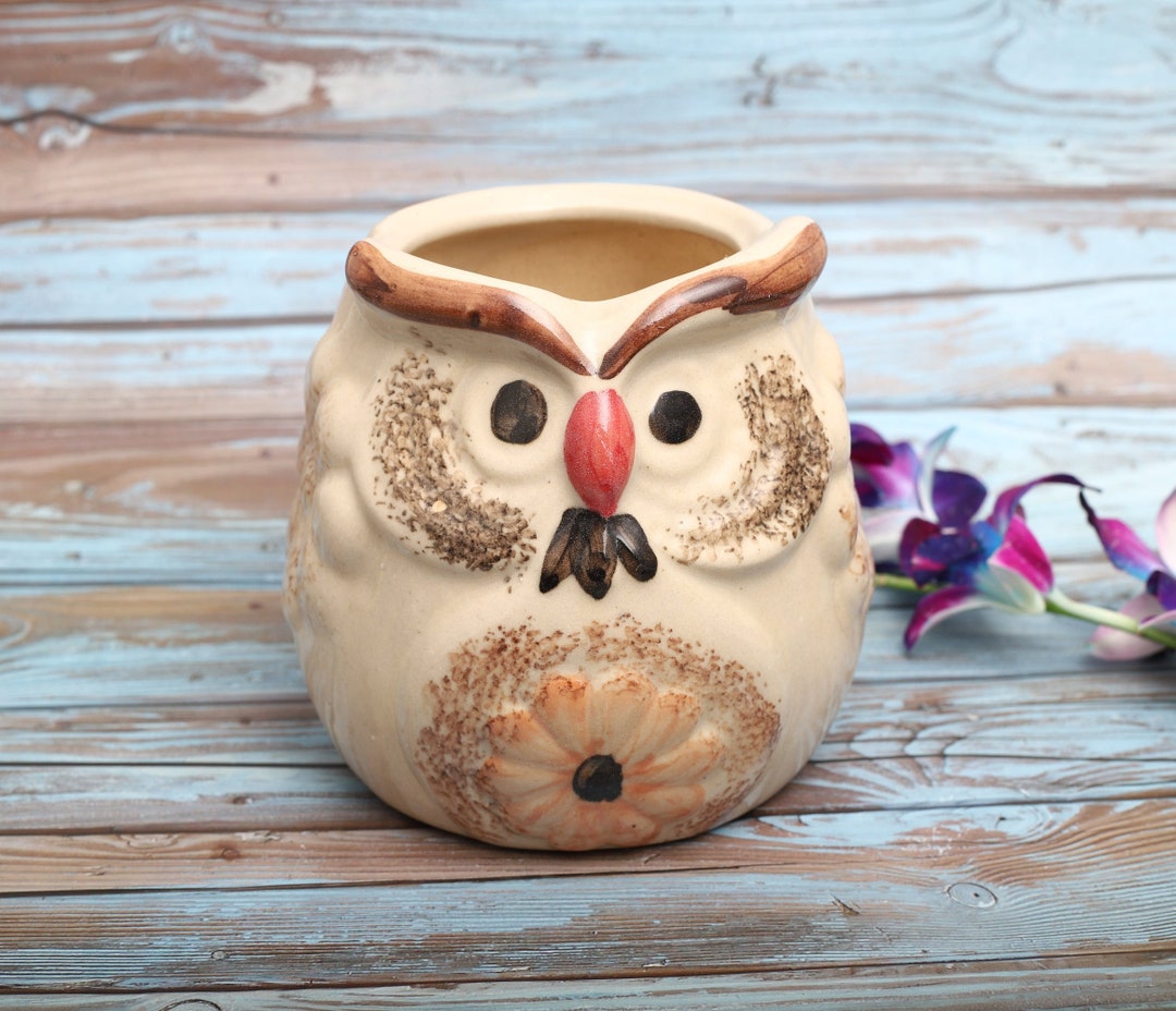 Wild Tawny Brown Stocky Owl Planter Pot 5"high | Children's Pottery ...