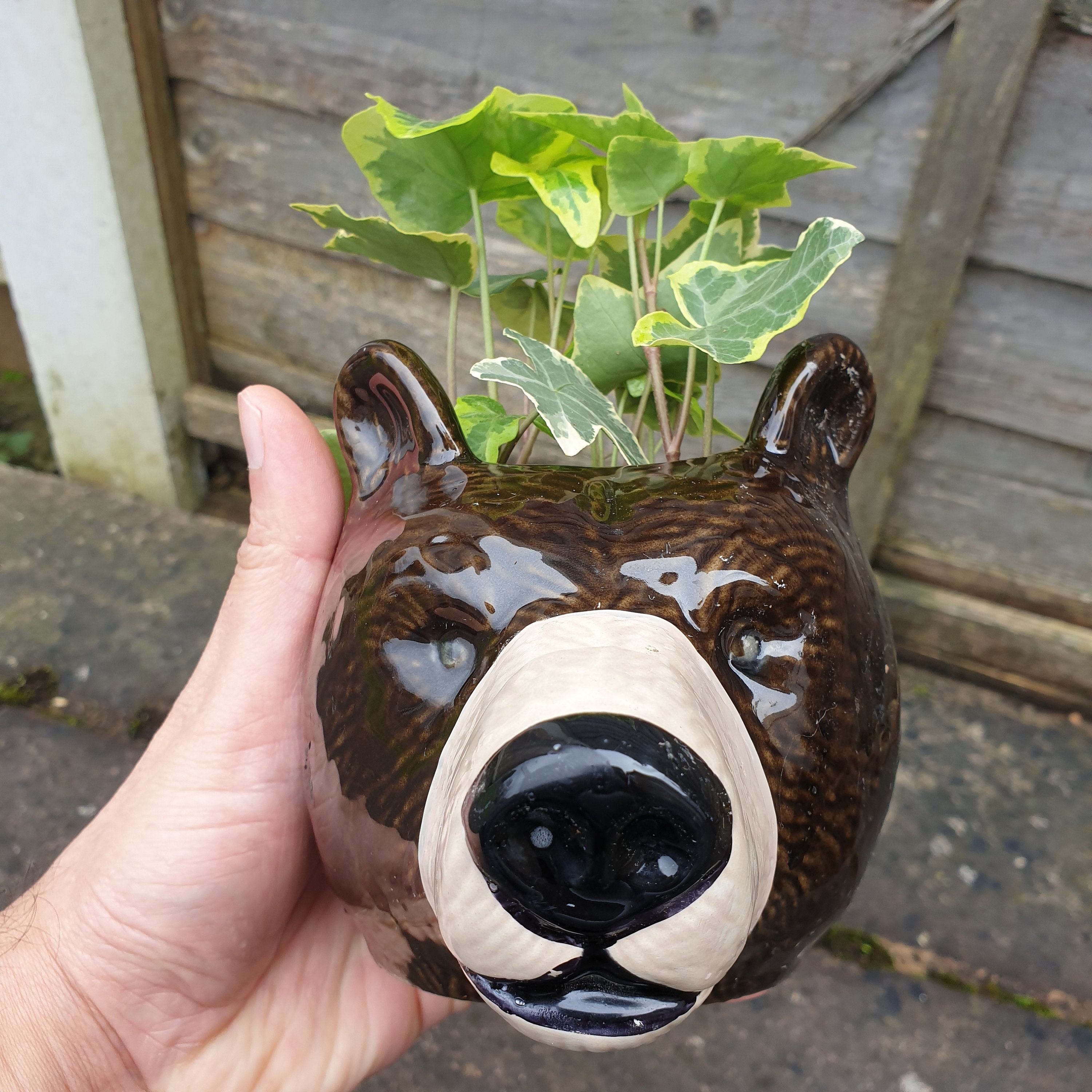Grizzly Bear Ceramic Planter Pot With Handle Quirky Animal - Etsy