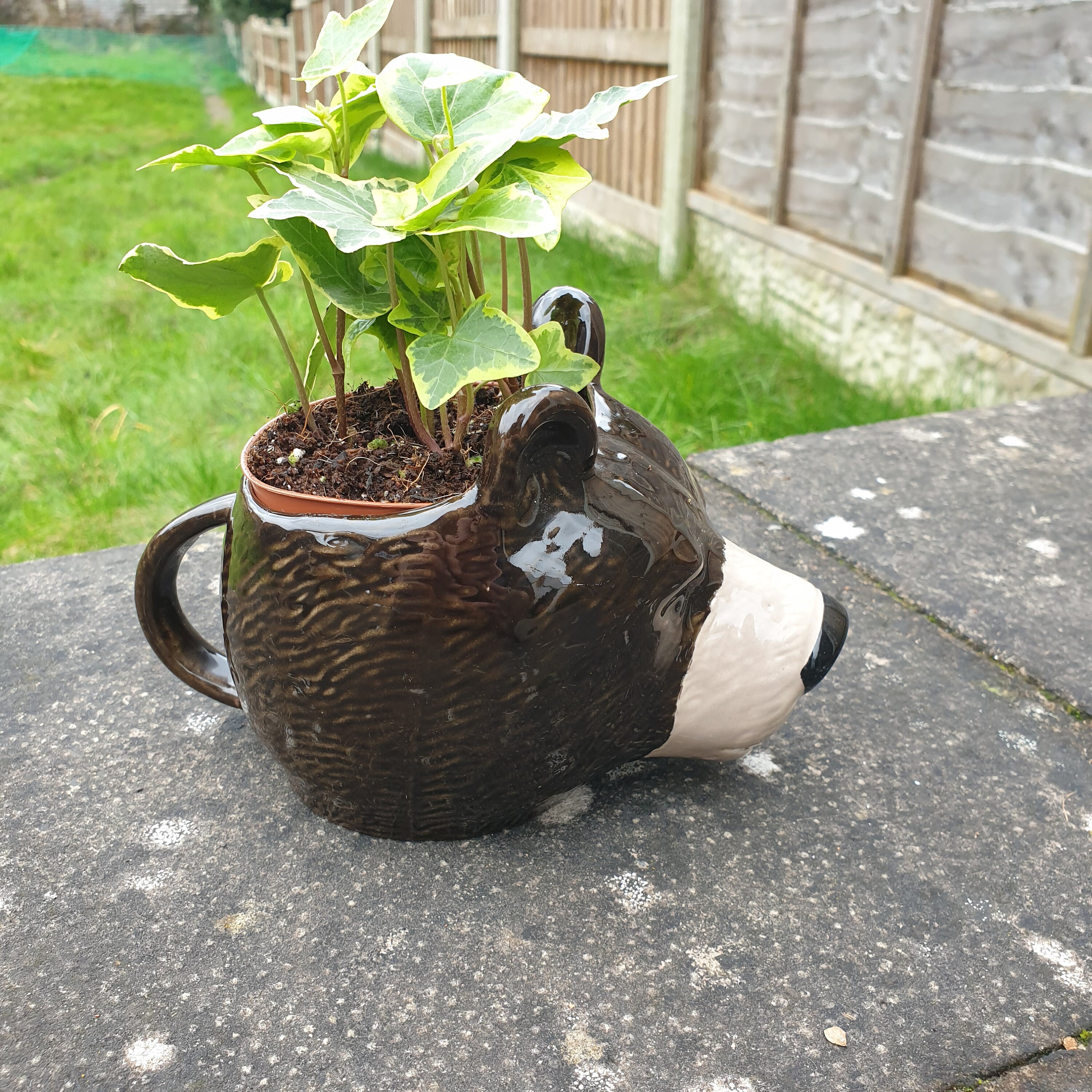Grizzly Bear Ceramic Planter Pot With Handle | Quirky Animal Planter L ...