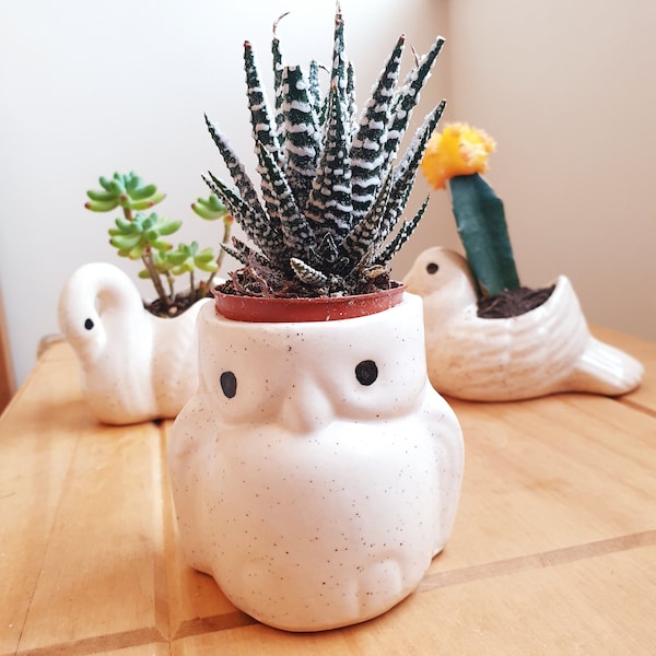 Ceramic Bird Planters - Etsy