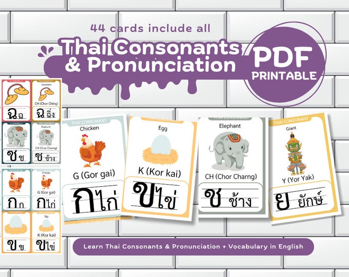 Thai Alphabet Consonants Flashcards DIGITAL DOWNLOAD | Study Thai ...