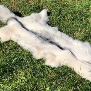 ARCTIC MARBLE FOX Fur Pagan Ritual Fur North Pole Fox Leather - Etsy