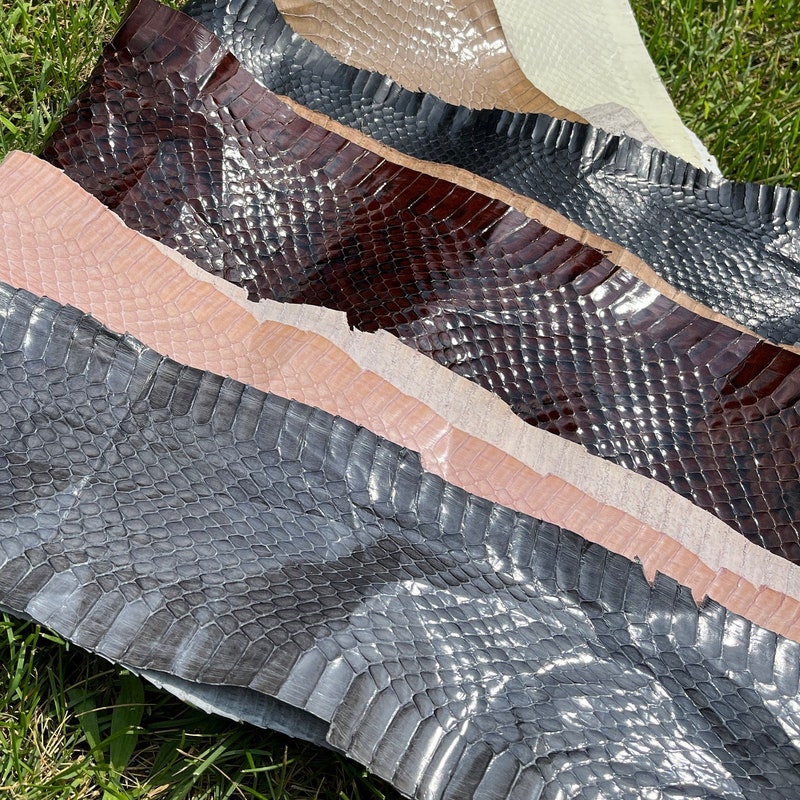Real Snake Skin - Etsy