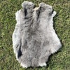 Springbok Pelt Genuine Deer Fur Blesbok Antelope Pelt Natural Color ...