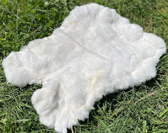 Rex Rabbit Pelt - Etsy