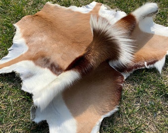 Springbok / Small Antelope Skin Rug. Full Authentic Hide. Leather ...