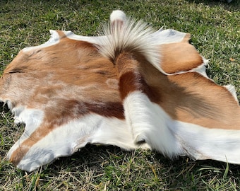 Real Springbok Skin - Etsy