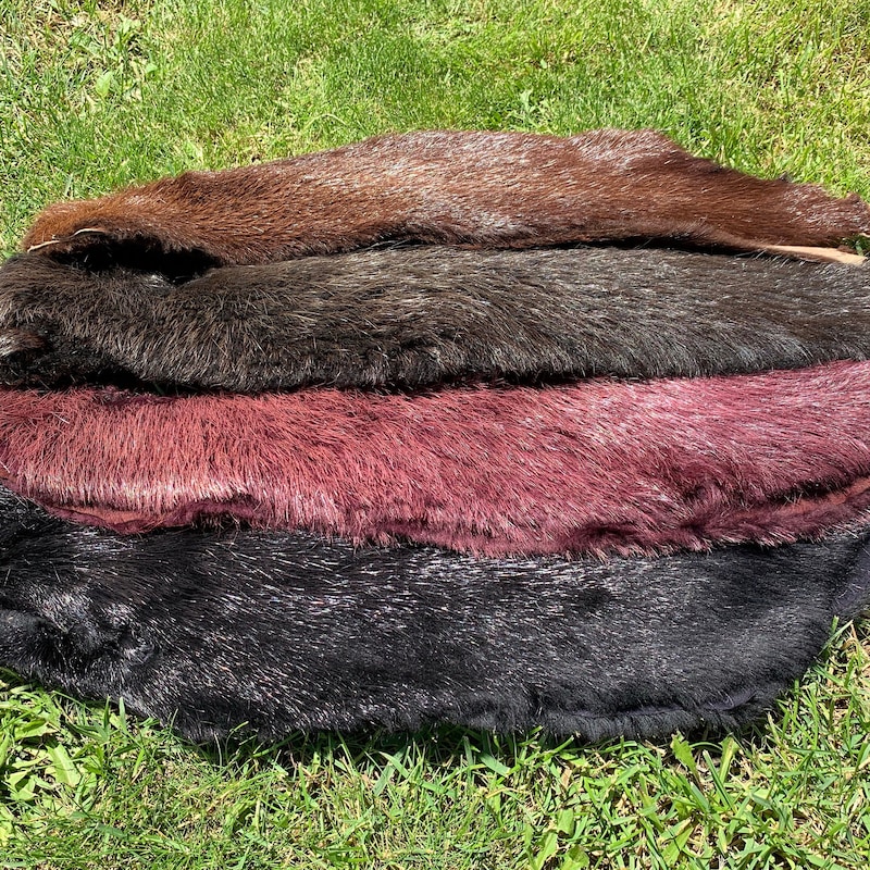 Beaver Pelt - Etsy