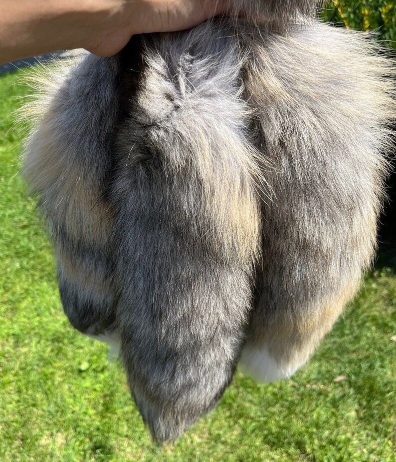 NATURAL COLOR FOXTAIL White Fur Costume Tails Fox Fur - Etsy