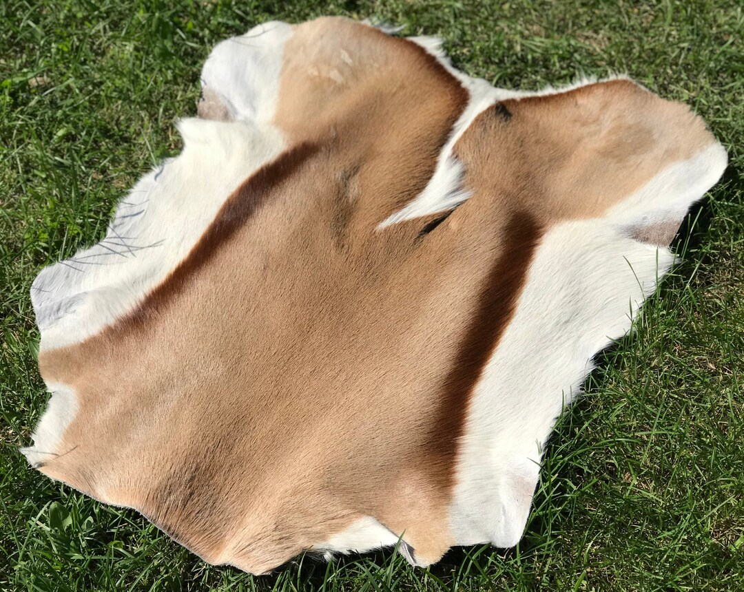 Genuine Springbok Fur Warm Animal Fur for Home Decoration Deer Hide Rug ...