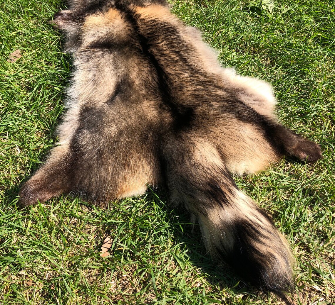 Wild Raccoon Hide Longhair Natural Color Raccoon Fur Mantle Animal Fur ...