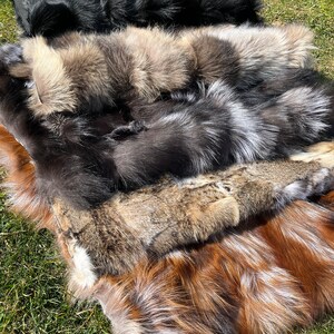 5 Different Wild Animal Furs, Silver Fox Fur, Lynx Fur, Canadian Fox ...