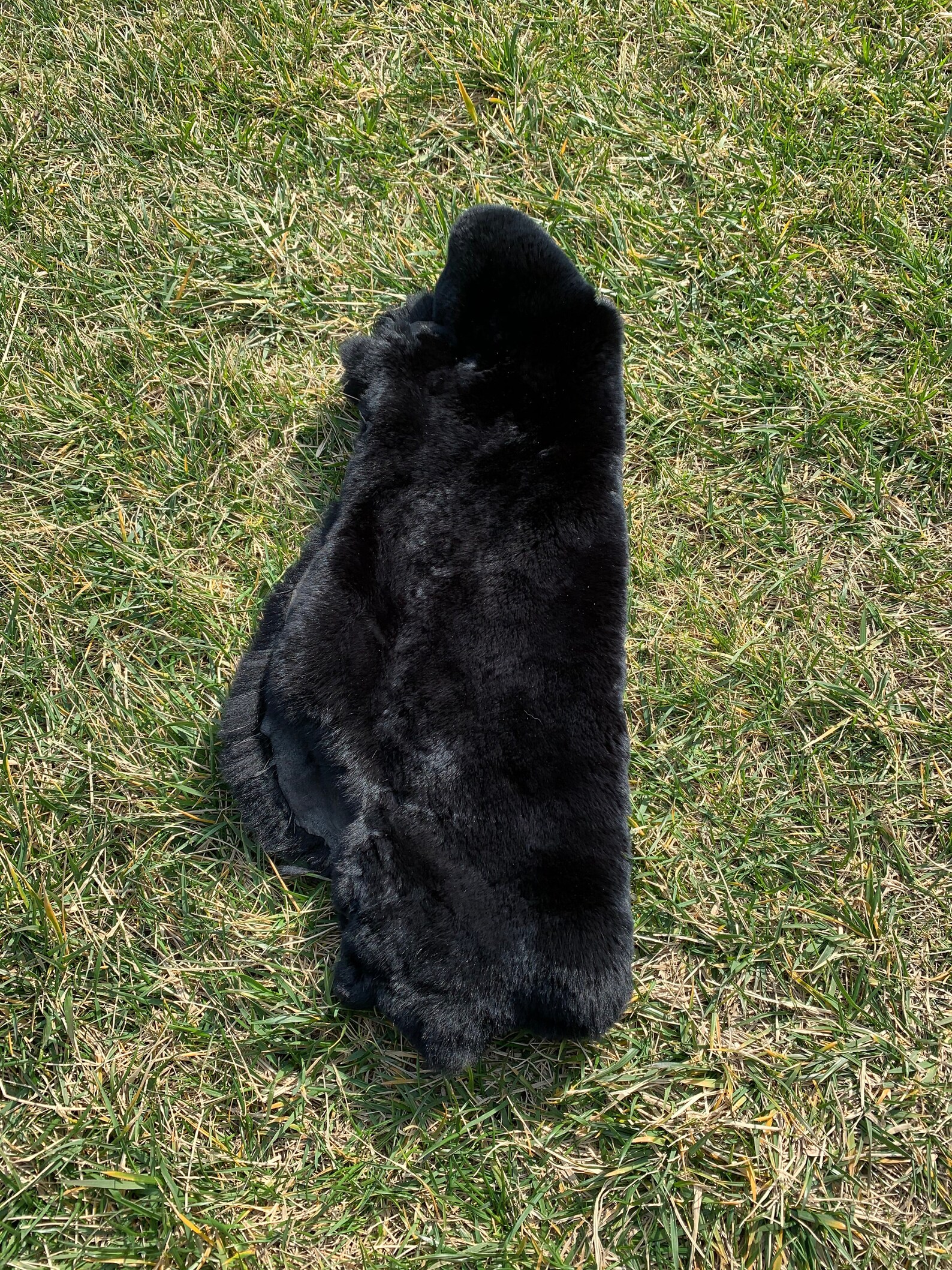 Black Rabbit Fur Jumbo Size Natural Black Rabbit Rex Pelt - Etsy