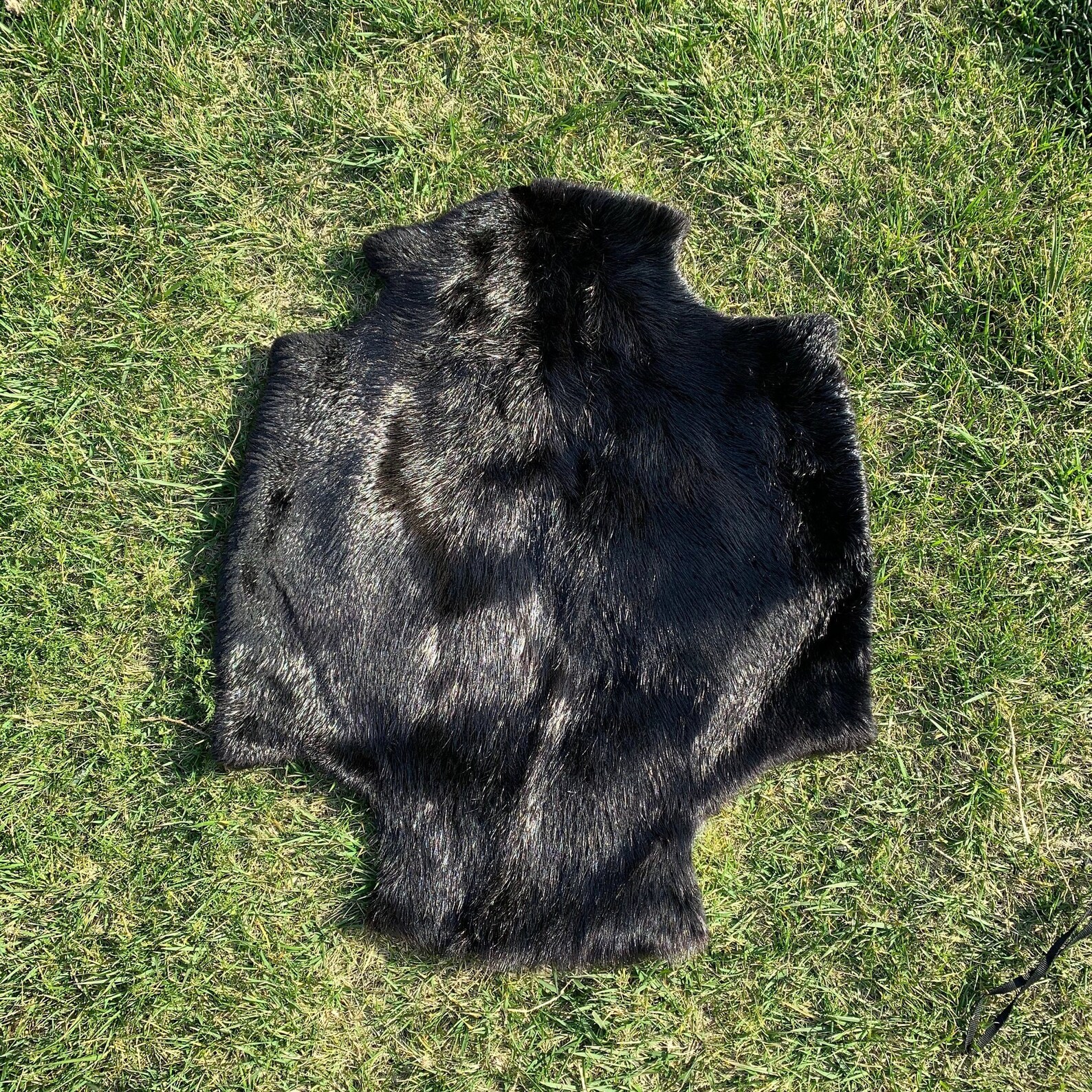 Beaver Hide Black Color Fur The Best Beaver Fur For You | Etsy