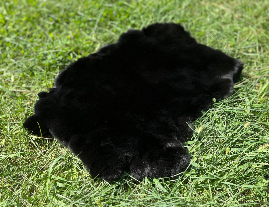 Dark Black Rex Rabbit Fur Big Size Rex Fur Soft Bunny Pelt Odorless ...