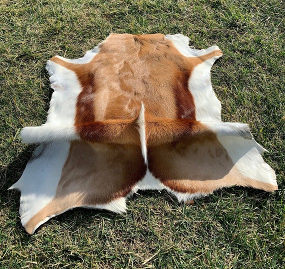Incredible Springbok Fur Springbok Rug Carpet for Home Decor - Etsy