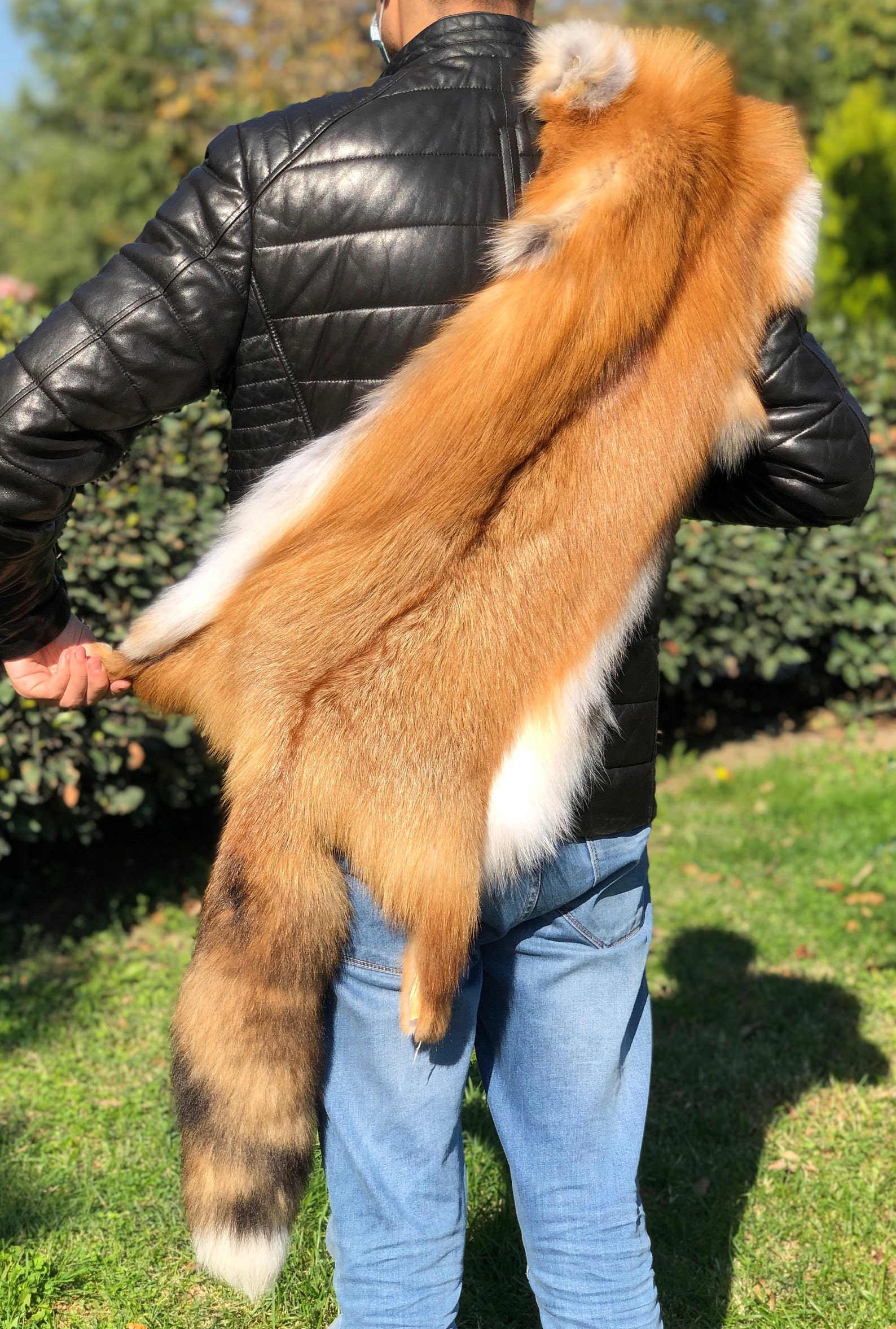 High Quality 1st Class Red Fox Pelt Real Wild Fox Furs Genuine - Etsy