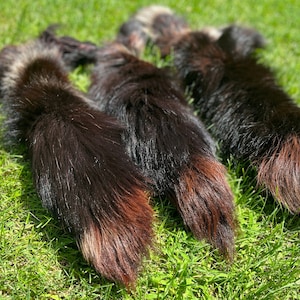 9 Different Color Foxtails, Cat Dog Toys, Pet Toys, Fox Fur Tail ...