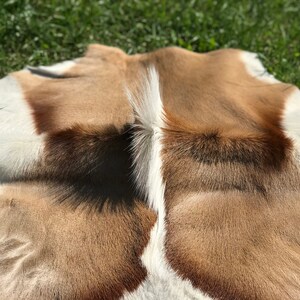 SPRINGBOK FUR African Deer Pelt Genuine Natural Springbok Hide Non-slip ...