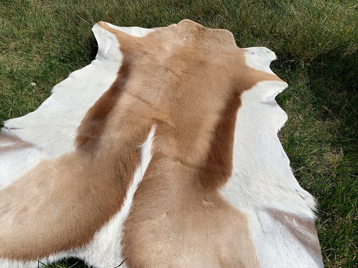 Springbok Pelt Natural Color Genuine Deer Fur Blesbok Antelope Pelt ...