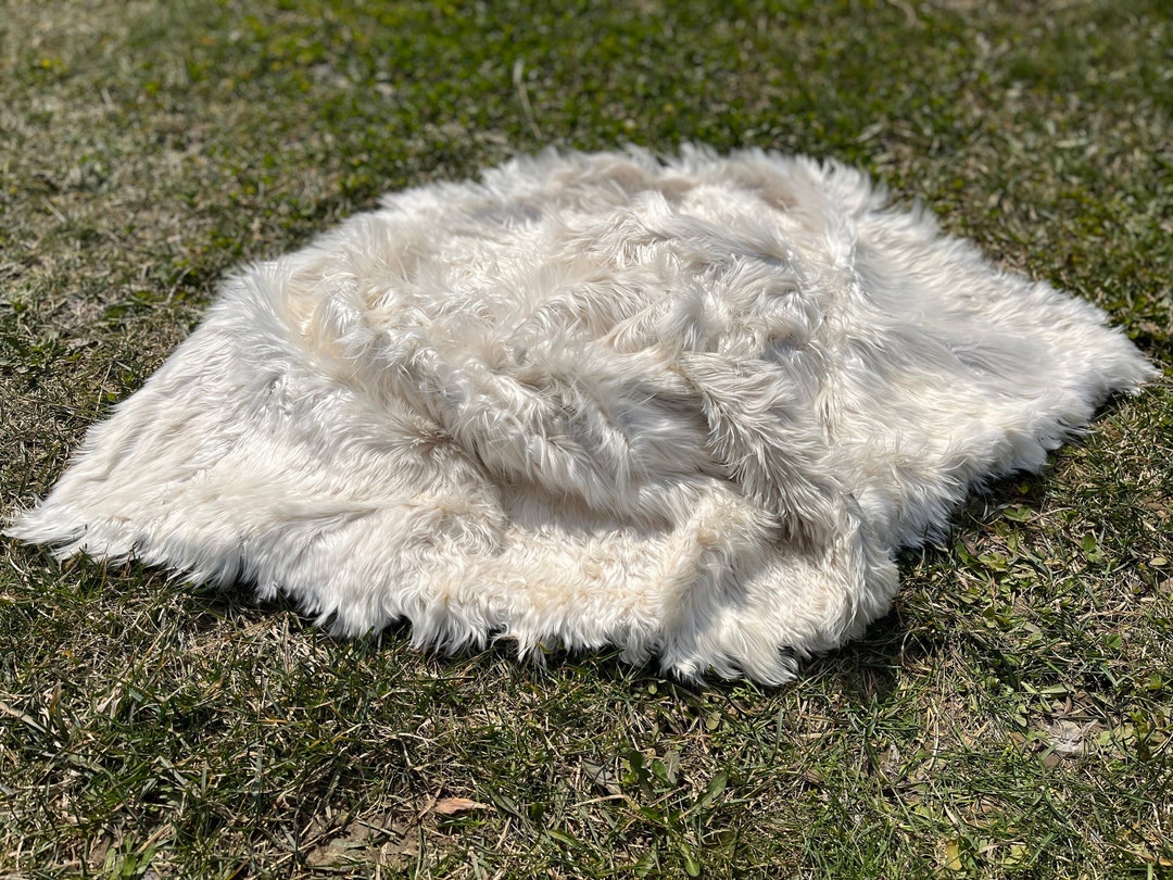 White Color Baby Alpaca Fur, Soft and Fluffy Alpaca Pelt, Rare Animal ...