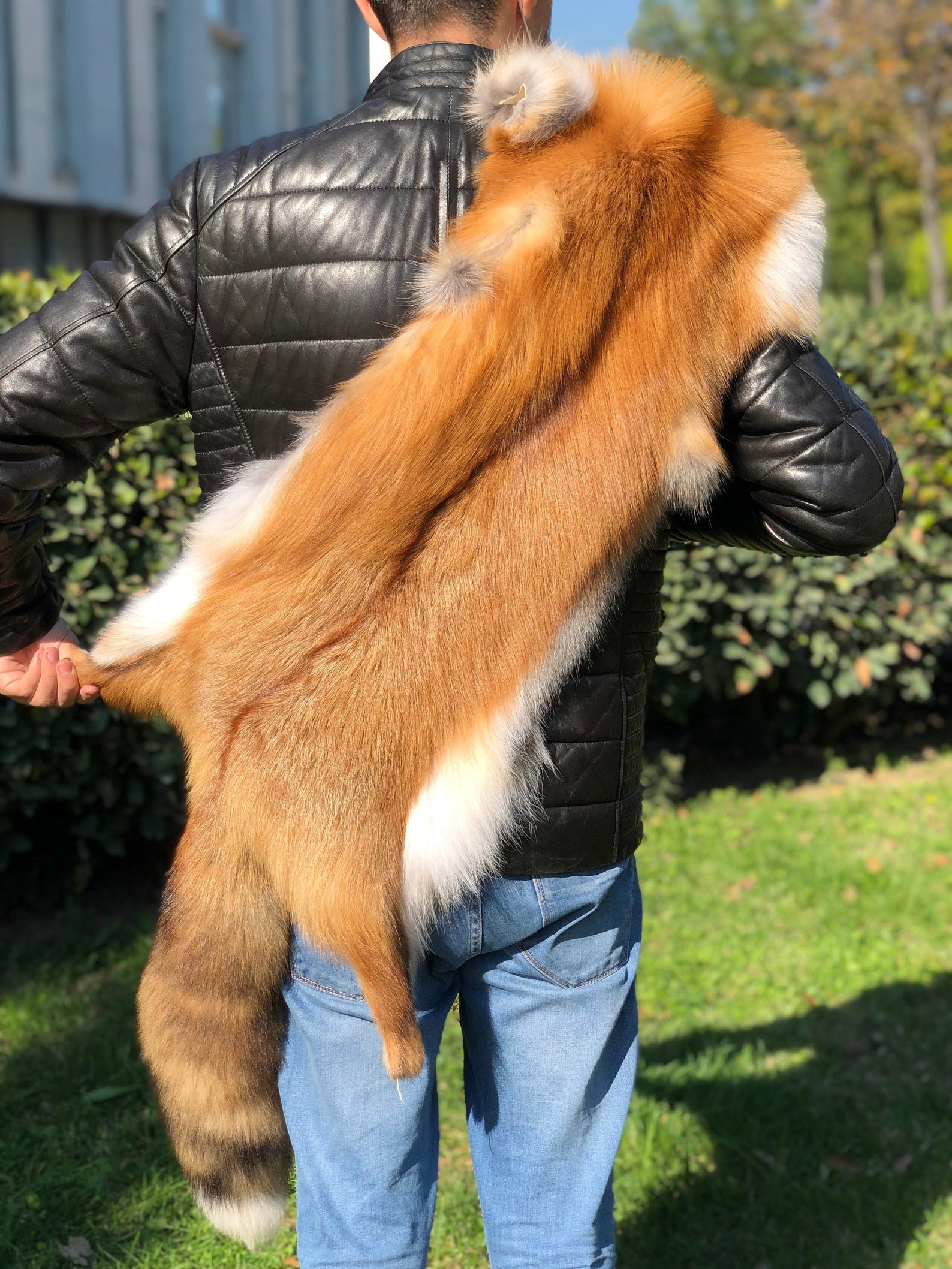 North American Red Fox Hide, Ethically Sourced Fox Leather, Furs for ...