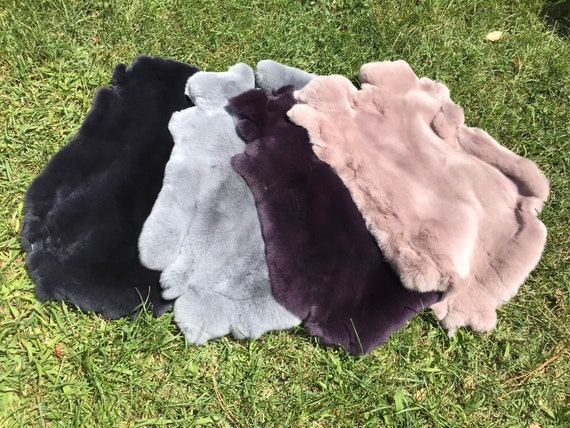 Rex Rabbit Fur 4 Different Amazing Rare Colors Soft Raised | Etsy