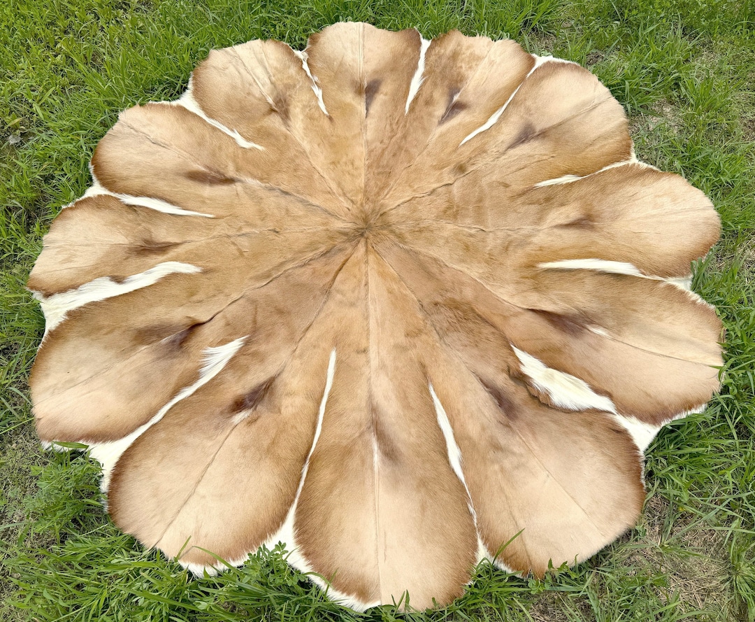 Springbok Carpet, 66x66 Inches Fur Carpet, Leather Rug, 12pcs Springbok ...