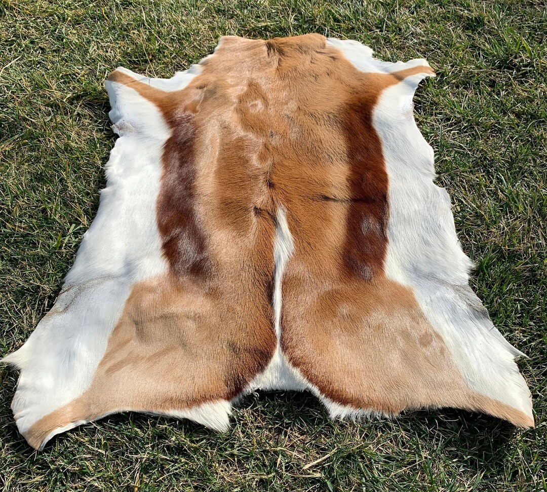 Springbok Leather, Natural Color Fur, Real Springbok Hide, Springbok ...
