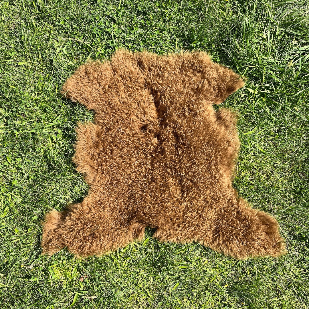 Rare Color Sheepskin, Curly Sheep Fur, Brown Color Sheep Hide, Throw ...