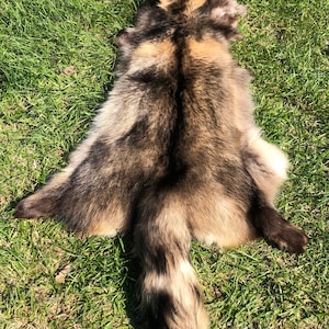 GENUINE WILD ANIMAL Pelt High Quality 1st Class Red Silver White Fox ...