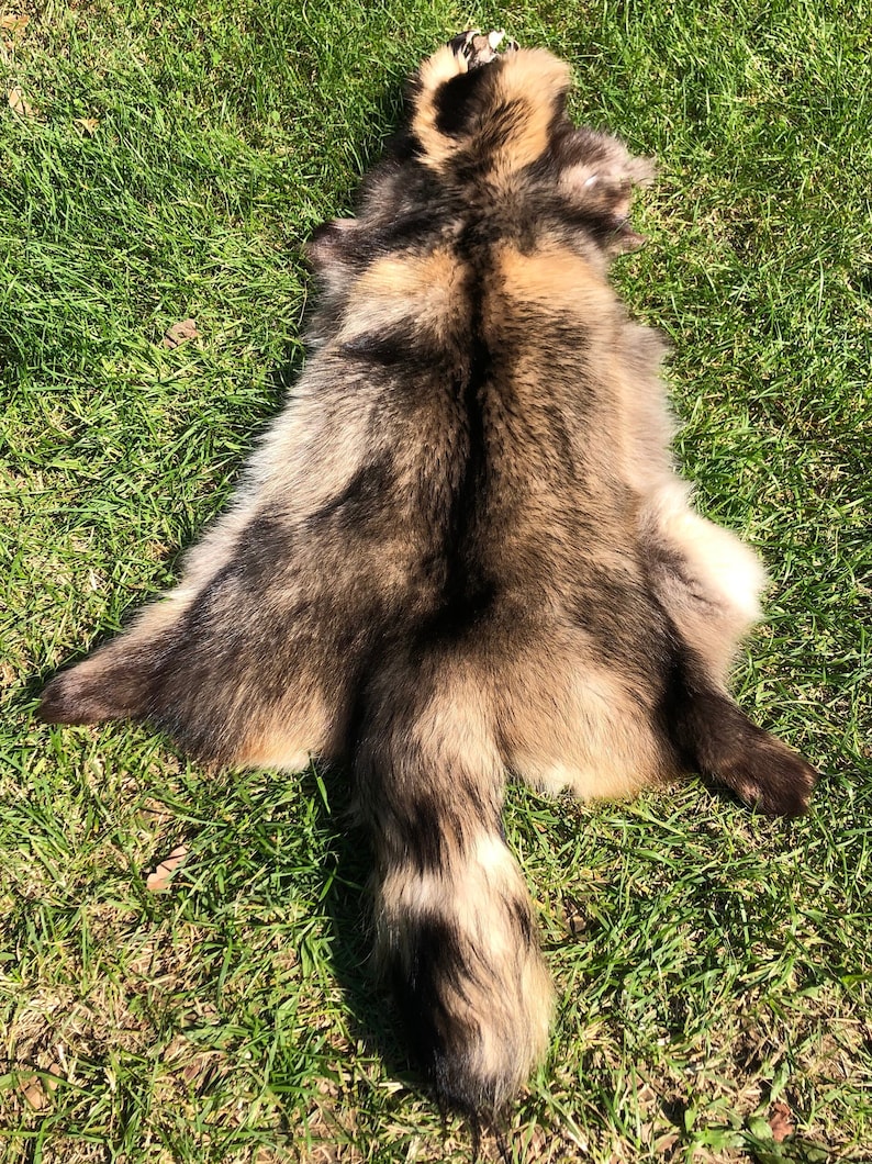 GENUINE WILD ANIMAL Pelt High Quality 1st Class Red Silver | Etsy
