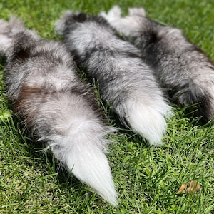 9 Different Color Foxtails, Cat Dog Toys, Pet Toys, Fox Fur Tail ...