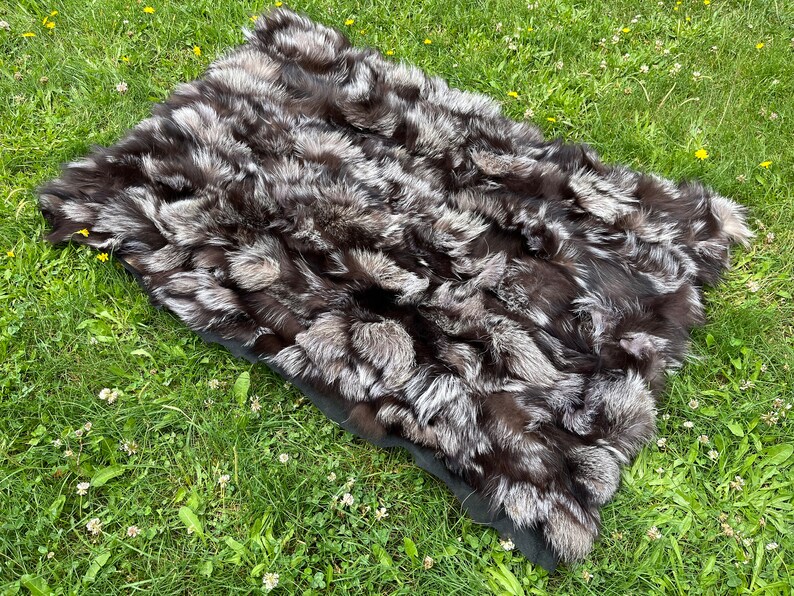 5 Different Wild Animal Furs, Silver Fox Fur, Lynx Fur, Canadian Fox ...