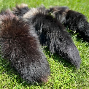 9 Different Color Foxtails, Cat Dog Toys, Pet Toys, Fox Fur Tail ...