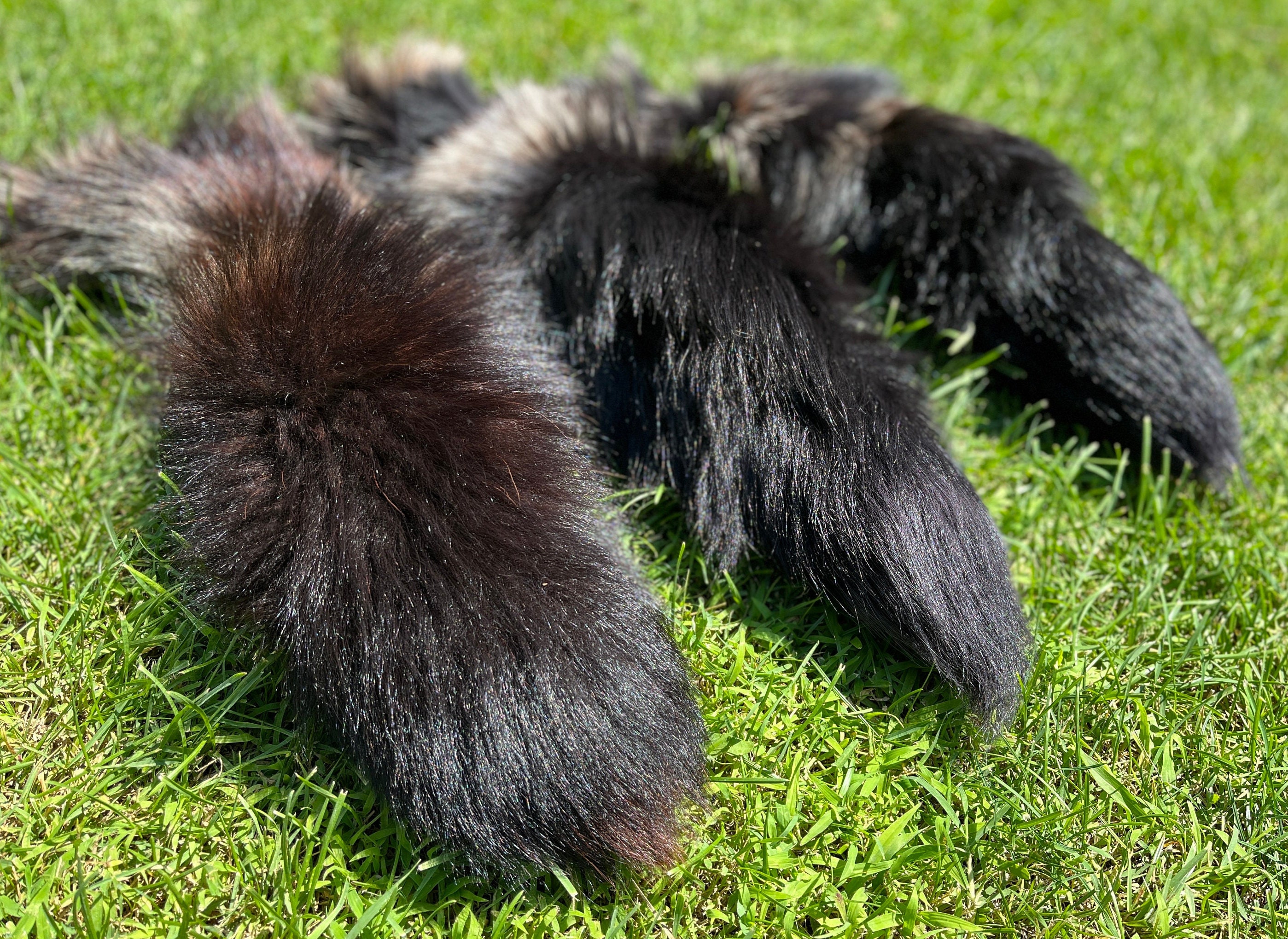 9 Different Color Foxtails Cat Dog Toys Pet Toys Fox Fur - Etsy UK