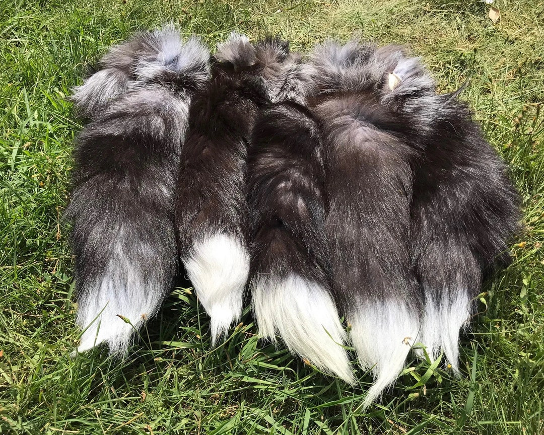 Black Silver Foxtail, White Fox Tail, Black Fur, Genuine Fur Costume ...