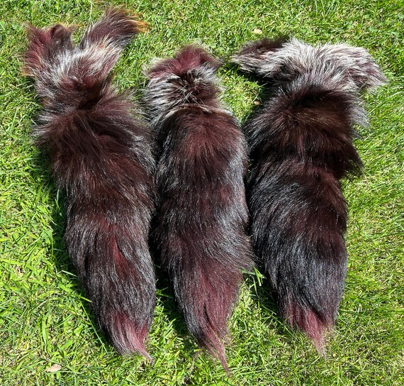 RED FOX TAIL Real Fox Tails Tanned Foxtail Genuine Fur - Etsy