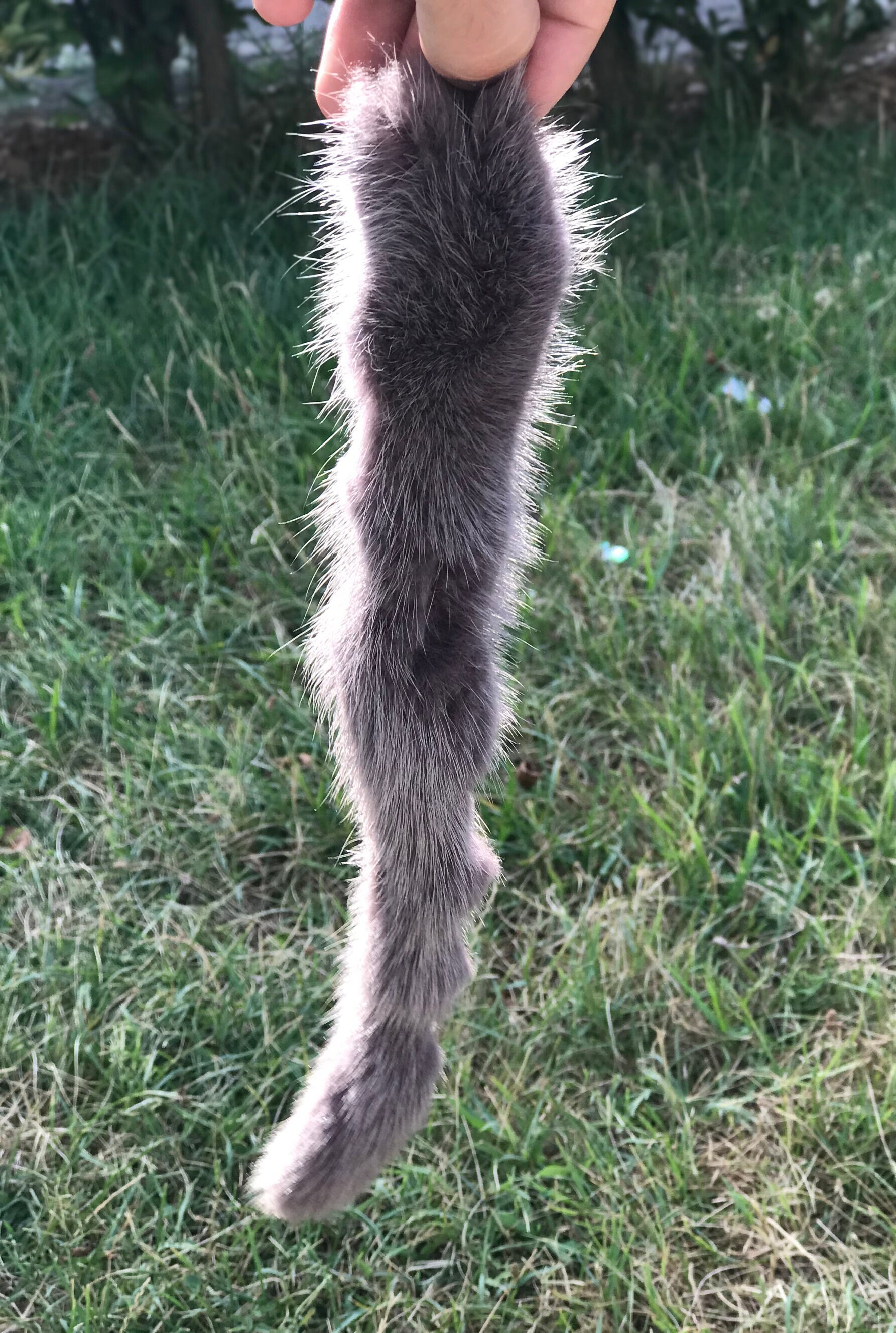 Fascinating Brown Color Mink Tails Very Soft Odorless Mink | Etsy