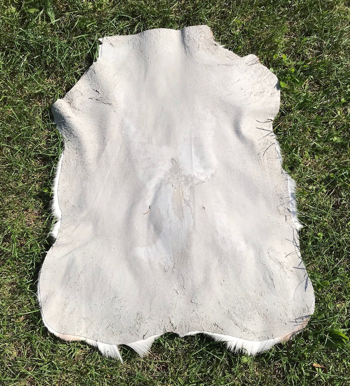 SPRINGBOK FUR African Deer Pelt Genuine Natural Springbok Hide Non-slip ...