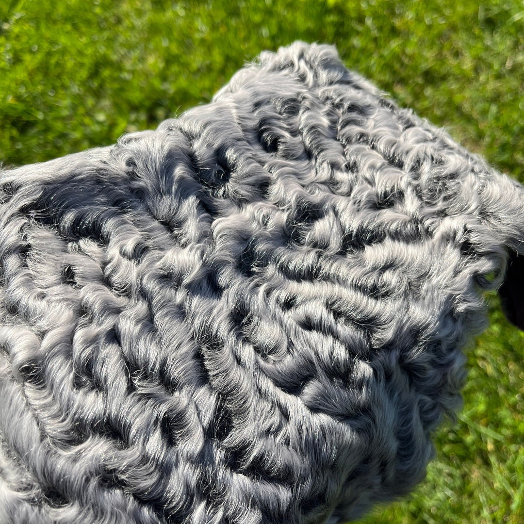 REAL SWAKARA LEATHER, Curled Swakara Hide, Genuine Karakul Lambskin ...