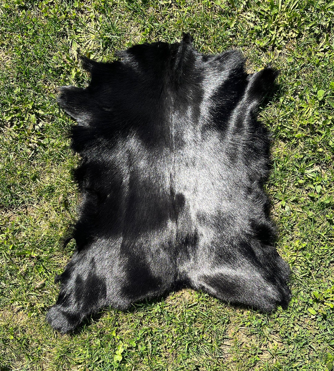 Black Goat Fur for Baphomet, Fur for Ritual Corner, Black Magic for ...