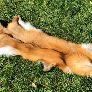 High Quality 1st Class Red Fox Pelt Real Wild Fox Furs Genuine Throw ...