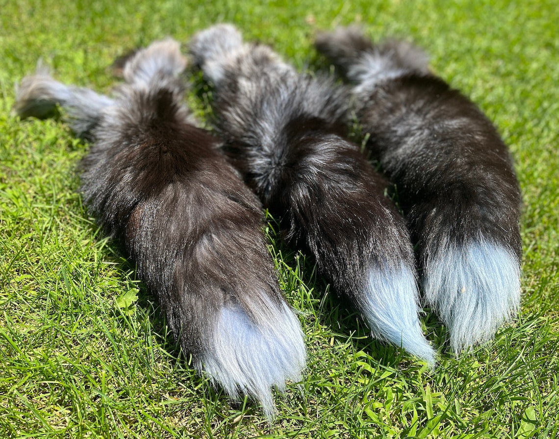 9 Different Color Foxtails Cat Dog Toys Pet Toys Fox Fur - Etsy