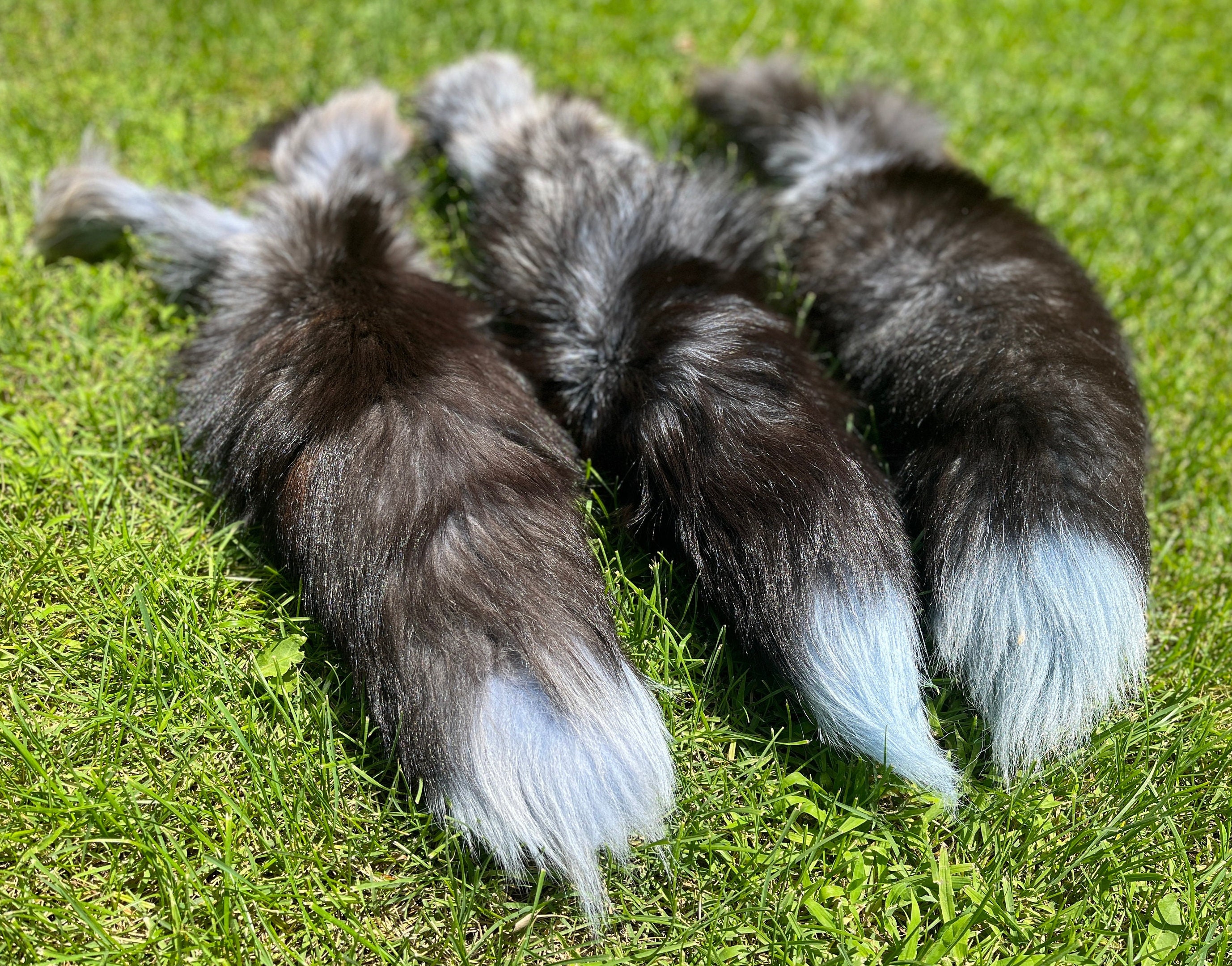 9 Different Color Foxtails Cat Dog Toys Pet Toys Fox Fur - Etsy UK