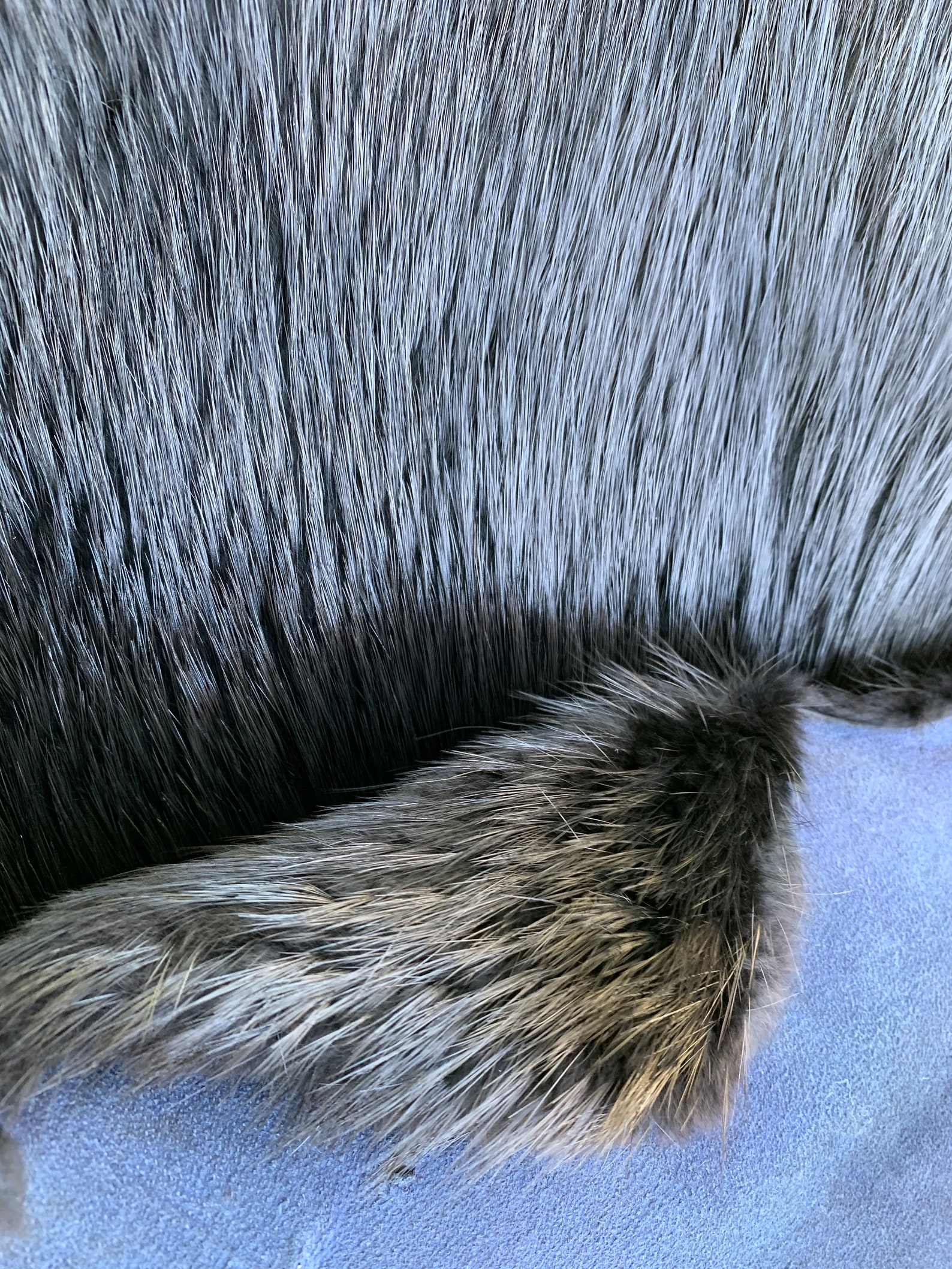 Real Beaver Fur, Black Color Leather, Farm Beaver Pelt, Luxury Animal ...