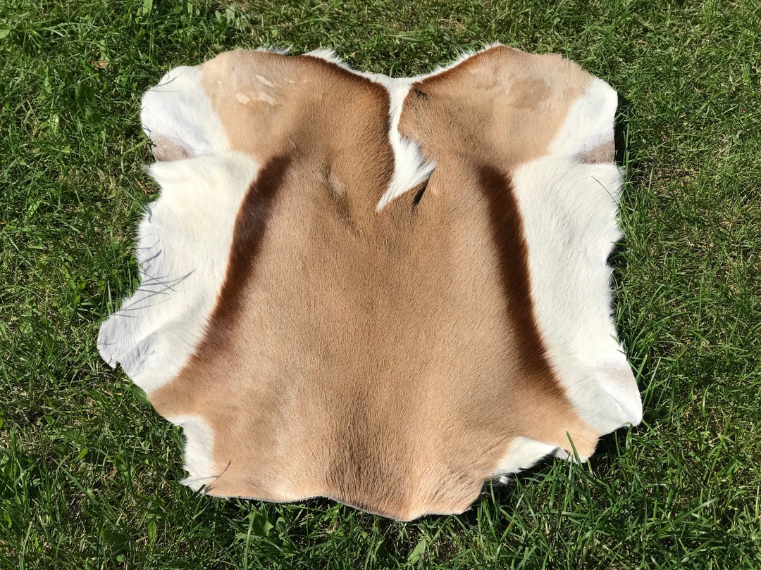 SPRINGBOK FUR, Genuine Deer Hide, Natural Color Fur, Real African ...